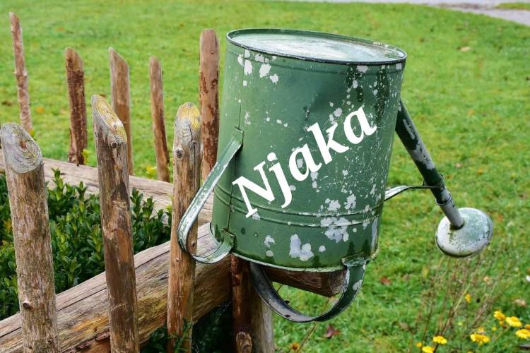 Čija je "Njaka"? - IN Medija