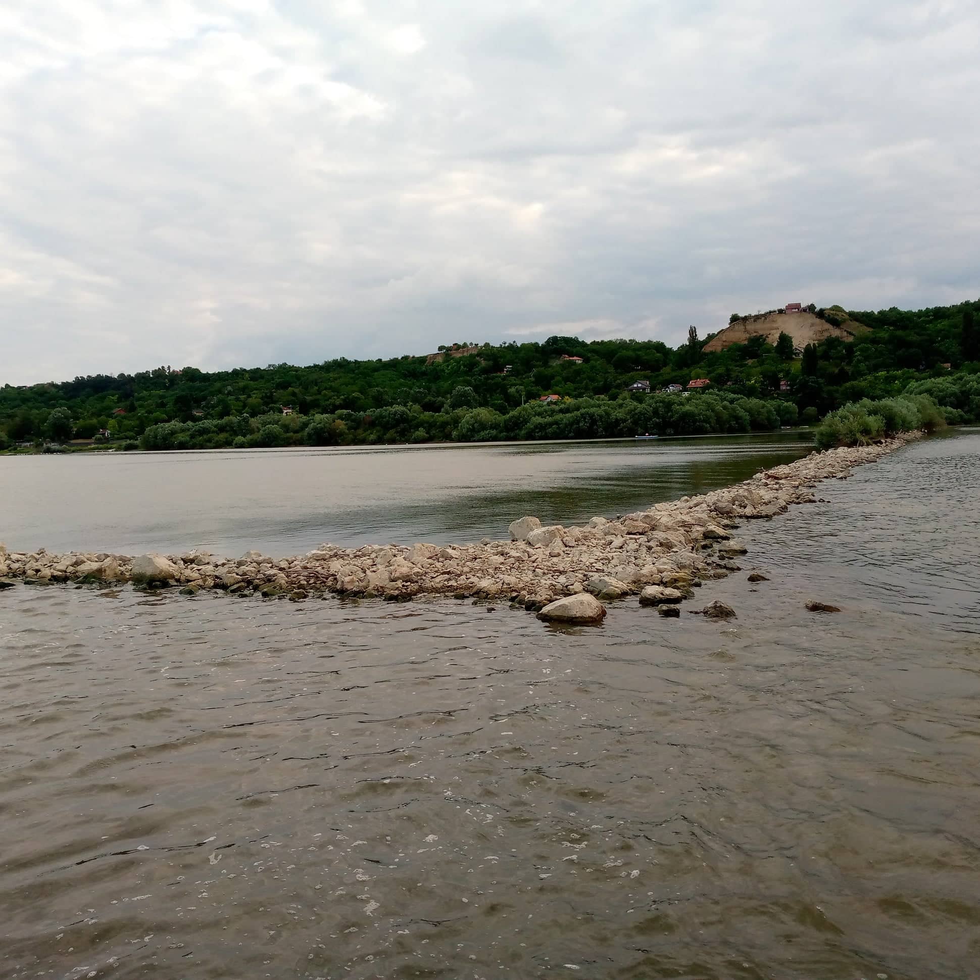 Stari Slankamen: Akcija čišćenja dela obale Dunava - IN Medija